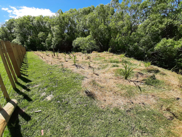 About Us - Rangitikei Environmental Operations Ltd