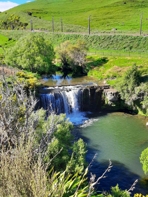 About Us - Rangitikei Environmental Operations Ltd